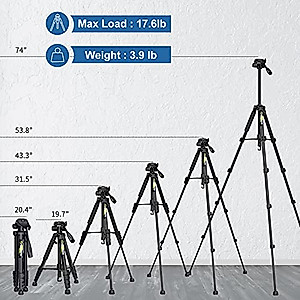 Endurax 74 Camera Tripod for Canon Nikon Sony, DSLR Tripod Stand Tall with Phone Mount and Carry Bag