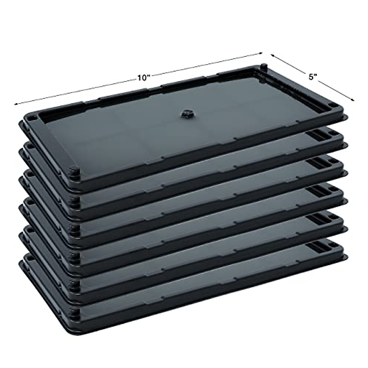 Baited Glue Traps by Catchmaster - 6 Pre-Baited Trays, Ready to Use Indoors. Rat Mouse Snake Exterminator Plastic Sticky Adhesive Easy No-Mess Simple Non-Toxic Disposable - Made in The USA