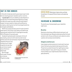 All About Horses: A Kid's Guide to Breeds, Care, Riding, and More!