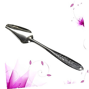 CORHAD 12 Pcs Feeding Spoon Bird Feeding Tool Hamster Spoon Pet Food Spoon Pet Milk Spoon Bird Parrot Spoon Hamster Feeding Tools Bird Feeding Scoop Bird Feeding Supplies Silver