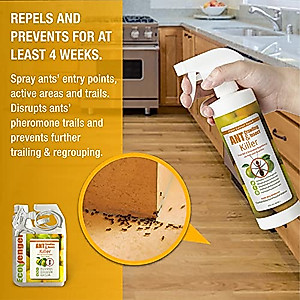 EcoVenger by EcoRaider Ant Killer & Crawling Insect Killer (Citrus Scent) 16oz, Kills Fast, Also Kills Spiders, Centipedes & More, Repels with Residual, Natural & Non-Toxic, Children & Pets Safe