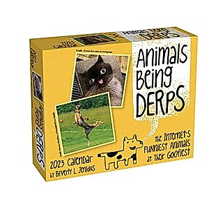 Animals Being Derps 2023 Day-to-Day Calendar: The Internet's Funniest Animals at Their Goofiest