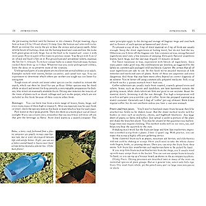 Edible Wild Plants: A North American Field Guide to Over 200 Natural Foods