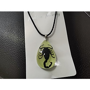 PTGMH Glow in the Dark Necklace Black Scorpion Amber Resin Adjustable Necklace Pendent with Insect Sample Inside Birthday Gift for Lover Friends (Black（black Scorpion）)