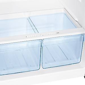 West Bend Apartment Refrigerator Freestanding Dual Door Design Fridge with Top Freezer, Adjustable Electronic Control and Frost Free Defrost, for Condo, House, Small Kitchen Use, 10.1 Cu.Ft, Metallic