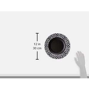 Alessi MSA04/29 B "CACTUS!" Fruit Holder in Steel Coloured With Epoxy Resin, Black