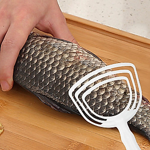 Coufce 4 Pack Bone Dust Scraper Meat Scraper Set Bone Dust Remover Fish Scale Scraper Versatile Tools for Butchering and Fish Scaling