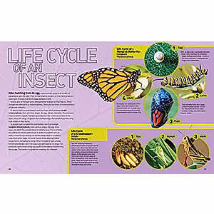 Ultimate Bugopedia: The Most Complete Bug Reference Ever (National Geographic Kids)