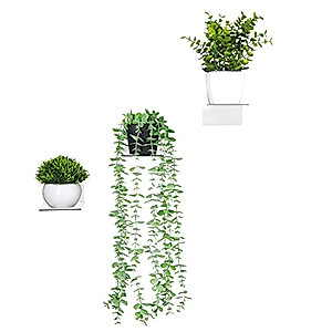 XBELMBER Small Adhesive Wall Shelves, 3-Pack Small Floating Shelf, 4-Inch Acrylic Display Ledges for Pop Figures, Mini Wall Decor, Plant, Compact Style No Drill Shelf - Clear