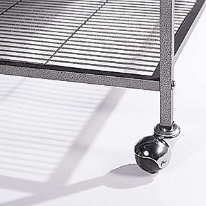 Prevue Hendryx F050 Pet Products Wrought Iron Flight Cage, X-Large, Hammertone Black