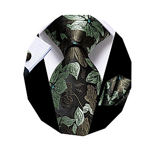 Dubulle Mens Tie Set Solid Paisley Silk Striped Necktie for Men with Cufflinks Tie and Pocket Square,A Sage Green
