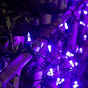 200 LED Purple Halloween String Lights,66ft Fairy Lights Plug in, 8 Modes Connectable Green Wire LED String Lights for Indoor, Outdoor, Halloween, Holiday, Wedding, Party, Christmas Decorations