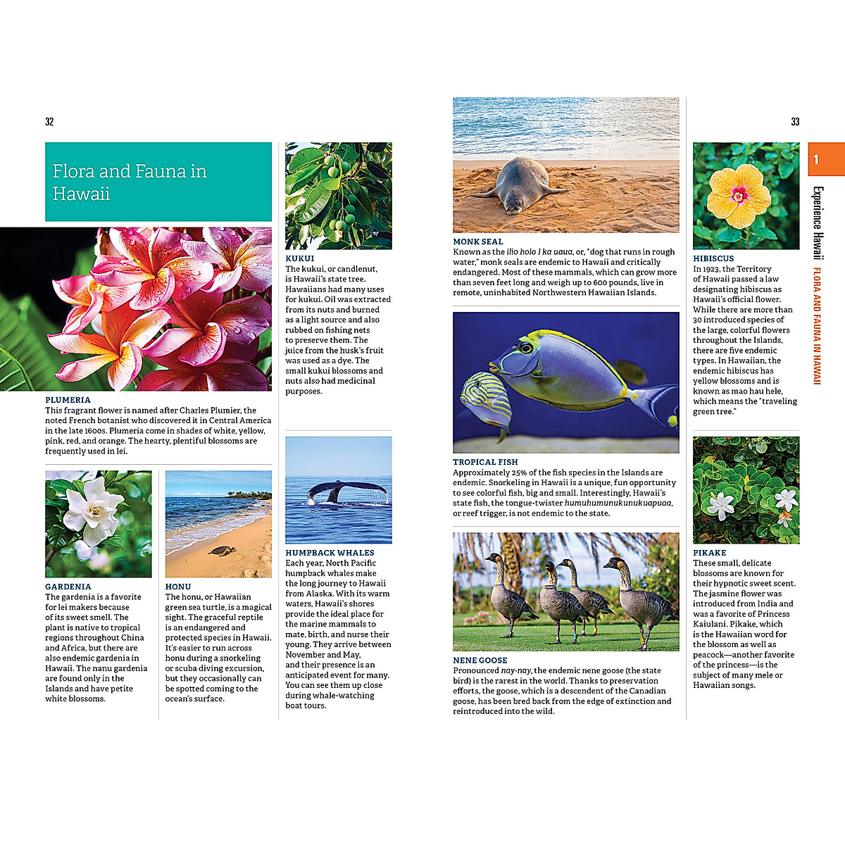 Fodor's Essential Hawaii (Full-color Travel Guide)