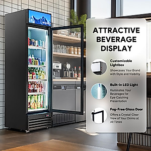 Wilprep One Door Commercial Refrigerator, 12.8 cu. ft. Swing Door Merchandiser Refrigerator with Tempered Glass & LED Lighting, ETL Listed Fog Free Beverage Display Refrigerator for Office Bar Store