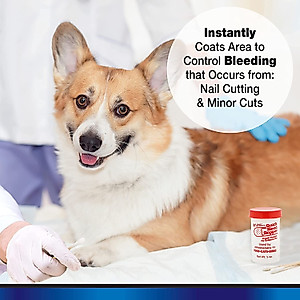 Four-Paws 4 Pack of Quick Blood Stopper Kits, 0.5 Ounces each, Antiseptic Styptic Powder and Swabs for Dogs, Cats and Birds