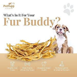 PetYupp Water Buffalo Tendon Dog Chews - 14 oz - 100% Natural Dog Treats - for Small, Medium & Large Dog, High-Protein, Low-Fat & Easy Digest Dog Treats, Promotes Dental Health - No Additives