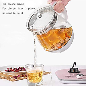 Electric Kettle, Multi-Function Teapot,Kettle, Temperature Control Kettle, Health Kettle, Automatic Thickened Glass Teapot Stainless Steel Heating Base Kettle (Color : B, Size : A)