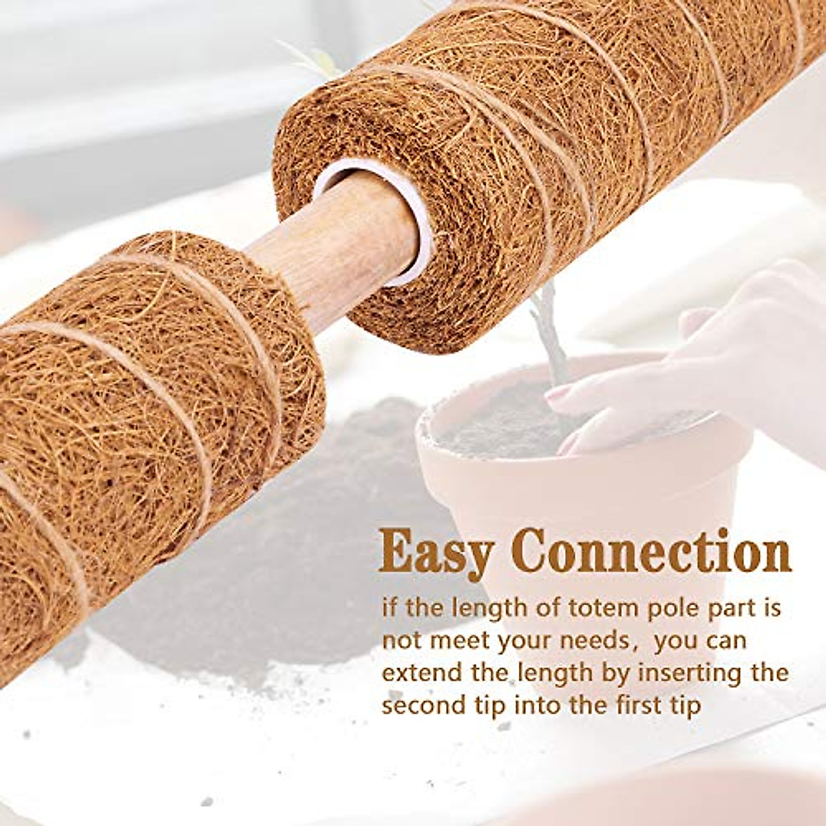 Moss Poles for Climbing Plants, 2 Pcs 12'' Coir Pole (Total 20'') with 4 Pcs Adjustable Plant Ties for Creepers Plant Support Extension, Climbing Plants Support Indoor