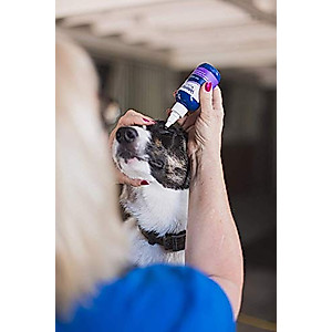 Terramycin eye ointment for cats, dogs & horses 1/8oz with Vetericyn Plus Eye Wash 3oz and OptixCare 50ct Eye Wipes Tear Stain Remover - Eye drops for infection Complete Ophthalmic Master Set