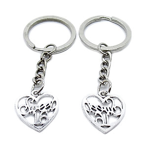 100 Pieces Keychain Keyring Door Car Key Chain Ring Tag Charms Supplies QF3S8Y Love Heart Sweet 16