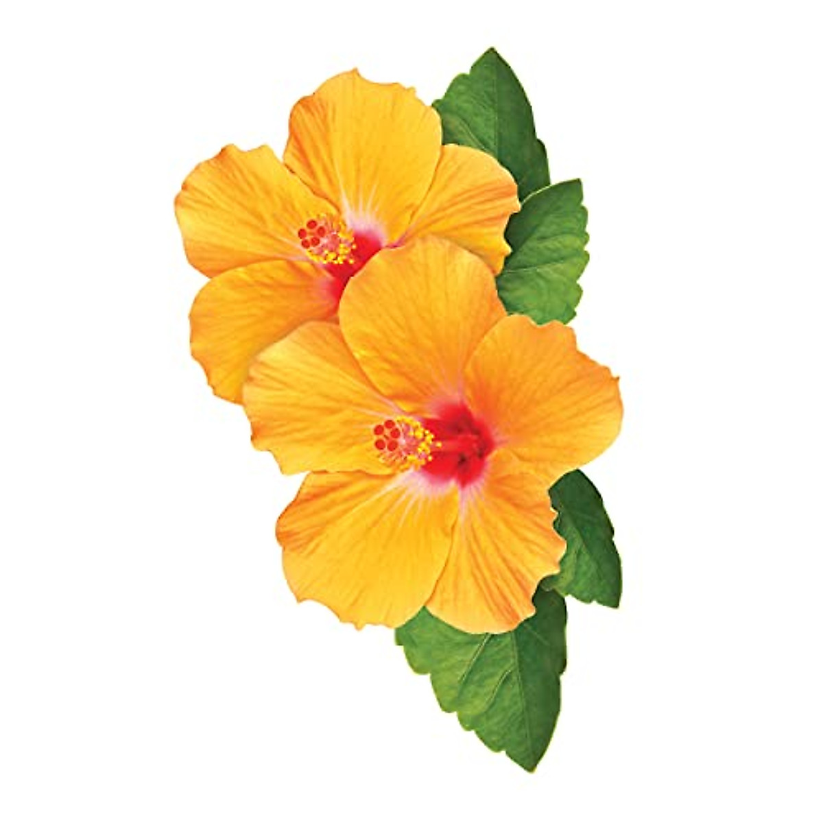 CHI CurlyCare Curl Shampoo, Hydrates Curls, Reduces Frizz & Increases Elasticity & Strength, Sulfate, Paraben, & Cruelty-Free, 25 Oz