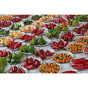 Canon DSLR camera EOS70D lens kit EF-S18-55mm F3.5-5.6 IS STM comes EOS70D1855ISSTMLK [International Version, No Warranty]