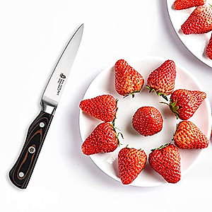 TUO Paring Knife-4 inch Fruit Peeling Paring Knife-German Stainless Steel Small Kitchen Knife-G10 Full Tang Handle-Legacy Series