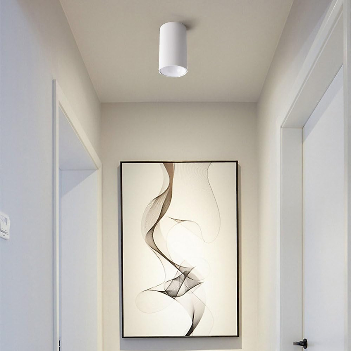 IOEDHW Nordic Cylinder Surface Mounted Spotlight Anti-Glare Ceiling Lamps Household Decoration LED Ceiling Spot Lamps Indoor Aluminum Downlight Energy Saving High Brightness Ceiling Down Lighting