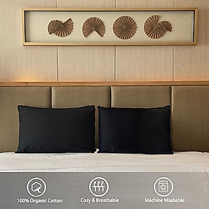 iMaylex Soft 100% Egyptian Cotton Zipper Pillow Case, Cozy and Lightweight Pillowcase, Set of 2, Black, Standard, 20" x 26"