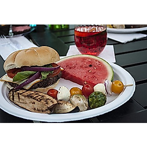 Chinet Premium 8 3/4-Inch Paper Plates, 36 Count