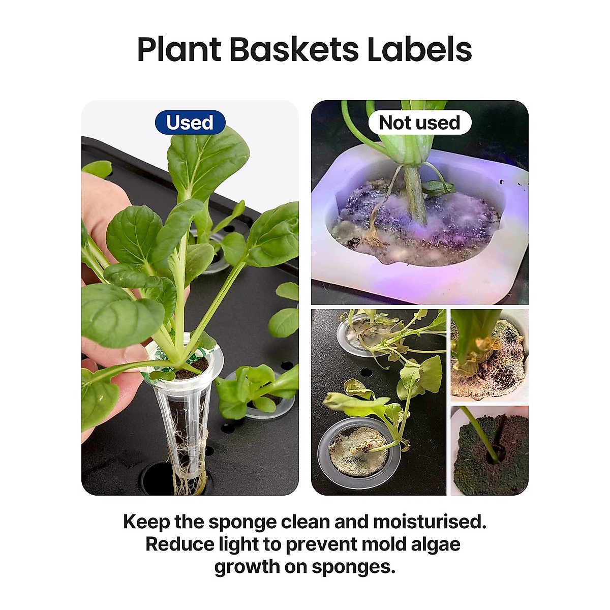 iDOO 102Pcs Seed Pot Labels Sticker, PVC Round Peel and Stick Hydroponic Garden Label, Plant Grow Basket Label