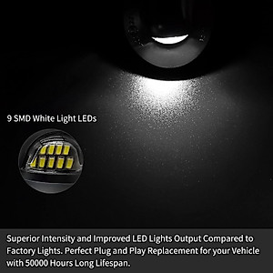 AlyoNed Full LED License Plate Light Tag Lamp Assembly Compatible with Ford F-150 F-250 F-350 F-450 F-550 Super Duty Explorer Expedition Ranger Excursion Bronco Truck Pickup