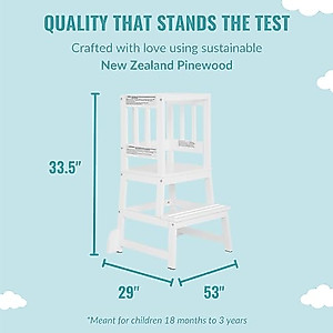 Dream On Me 2-in-1 Funtastic Tower and Step Stool, Easy to Assemble, Multi-Purpose Stool with Non-Toxic Paint Finish, Made of Solid Pinewood, White