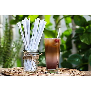 PHA STRAWS - | 100% Plastic Free | Individually Wrapped Biodegradable 8.2" Straws by Ecoware. Marine Biodegradable, Home Compostable, Ocean-friendly, Best Alternative to Paper & Plastic Straws. (5000)