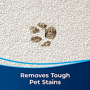 BISSELL Pet Power Shot Oxy for Carpet & Area Rugs, 14 ounces, 13A21 , Black