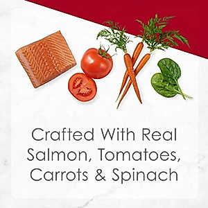 Purina Fancy Feast Wet Cat Food Medleys Wild Salmon Primavera With Tomatoes Carrots and Spinach in Silky Broth - (24) 3 oz. Cans