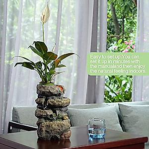 Kalona Indoor Fountain Exquisite Rockery Fountains Soothing Sound Tabletop Fountains Home/Office Decor with a Small Plastic Pot to Grow The Plant by Yourself(Automatic Watering)(22020)