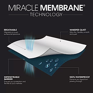 Protect-A-Bed, AllerZip Pillow Protector, Zippered, Waterproof, 2-pack, Standard Size