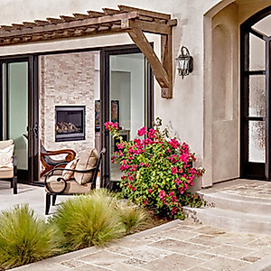 AXILAND Black and Gold Sconces Wall Lighting, 20.87" H Exterior Wall Light Fixture, Waterproof Aluminium with Glass Outdoor Lanterns for Front Porch Patio Garage Hallway