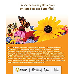 Burpee Wildflower Seed Mix for Pollinators