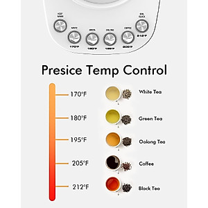 LONGDEEM Electric Glass Tea Kettle with Infuser, 1.7L Fast Boiling, Stainless Steel, Temperature Control Tea Maker, Non-BPA - Easy Lid Removal & Keep Warm Feature, White