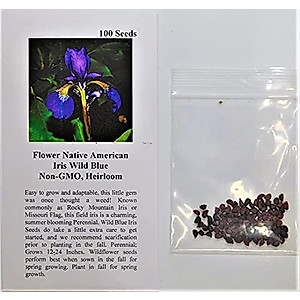 David's Garden Seeds Flower Native American Iris Wild Blue 7611 (Blue) 100 Non-GMO, Heirloom Seeds