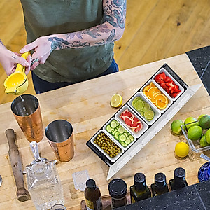 Bar Top Food Condiment Dispenser Container with Lid, Plastic Garnish Tray Station for Fruit, Veggie, Salad - Ice Cooled Topping Kitchen Organizer for Bar Home Restaurant Supplies & Serving (6 Tray)