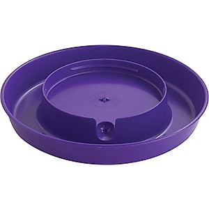 Little Giant 750PURPLE Purple Screw-On Base for 1-Gallon Plastic Poultry Waterer