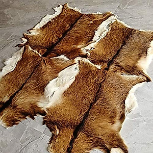 Red Deer Hide Rug Deer Skin Rug Deer Taxidermy Fireplace Deerskin Decor Reindeer Hide Area Rug Animals Mat Carpet for Home, Office, Bedroom Taxidermy Hunting Collectable 3.2x2.1ft