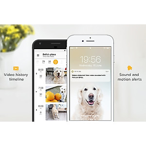 [2017 Item ] Petcube Bites Pet Camera with Treat Dispenser: HD 1080p Video Monitor, 2-Way Audio, Night Vision, Sound and Motion Alerts. For Dogs and Cats