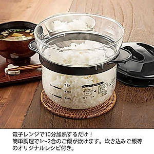 HARIO(ハリオ) HARIO Rice Pot, 1~2合, black (black 19-3911tcx)