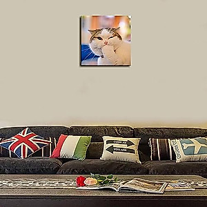 Fisting Cat Funny Animal Poster Print Art Picture 9302 Wall Art Canvas Prints Poster For Home Office Decorations With Framed 16"x16"