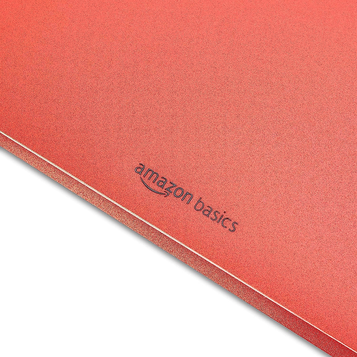 Amazon Basics Heavy Duty Plastic Folders with 2 Pockets for Letter Size Paper, Pack of 12