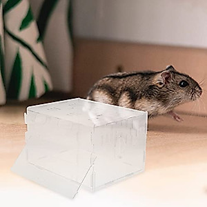 POPETPOP Pet Playpen Glass Hamster Cage Hamster Cage Acrylic Chinchilla House Habitat Mice Transparent Cage Small Pet Breeding Box for Your Small Pet 25X20X15CM Hamster Carrier Pet Toys